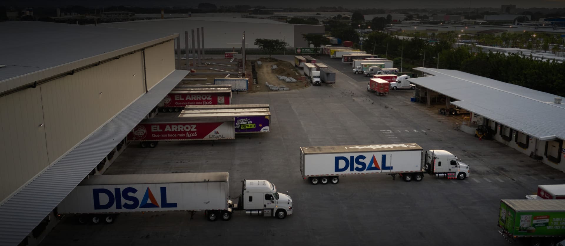 ¿Quiénes somos? | Comercializadora Disal